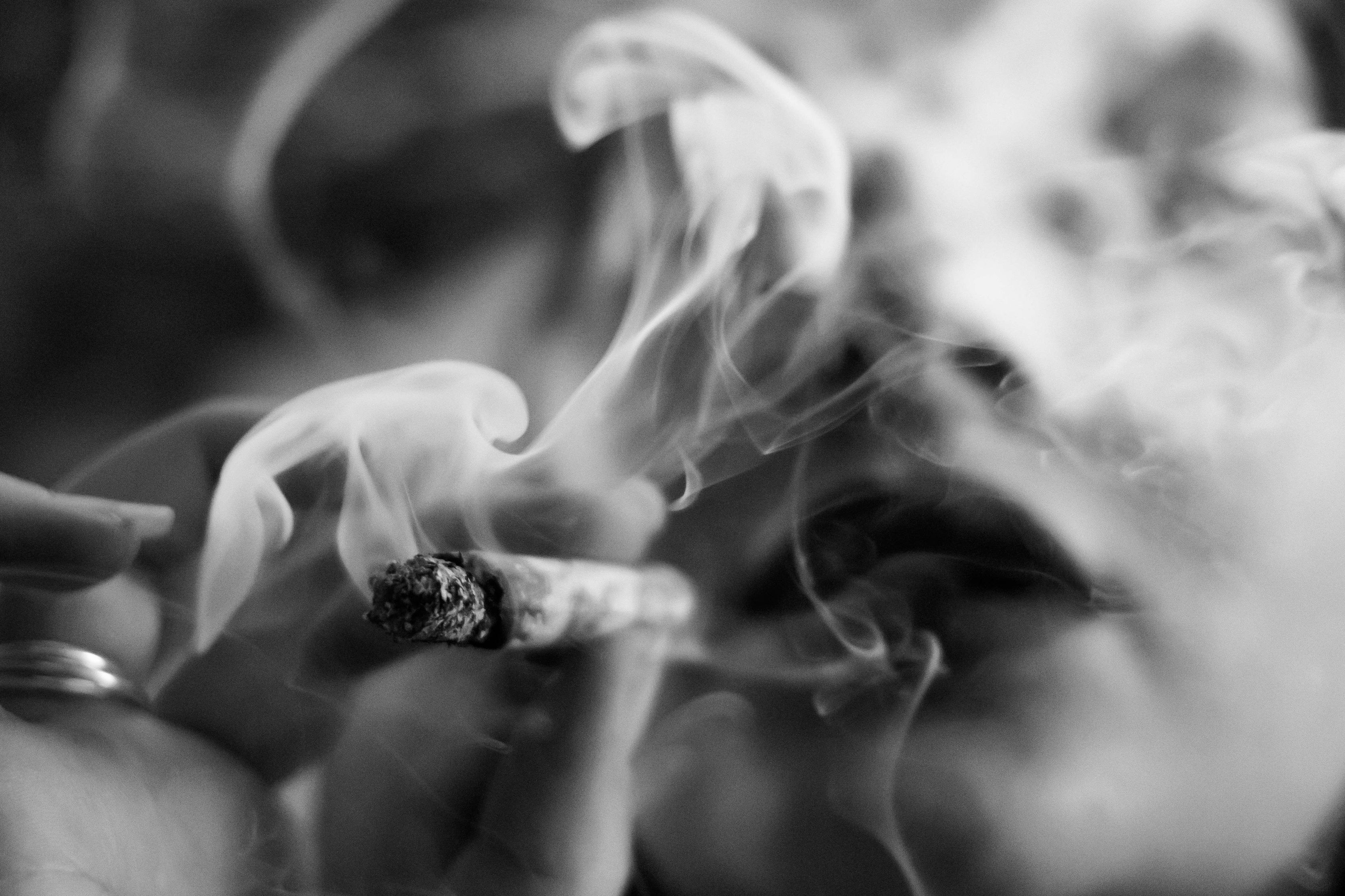 what-is-420-and-what-does-it-mean-high-society-smoke-supply